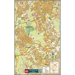 Mappa di Cardito / Cartografia Aggiornata di Cardito @ Geoplan.it