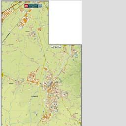 Mappa di Lonigo / Cartografia Aggiornata di Lonigo @ Geoplan.it