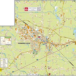 Mappa di Piombino Dese / Cartografia Aggiornata di Piombino Dese ...